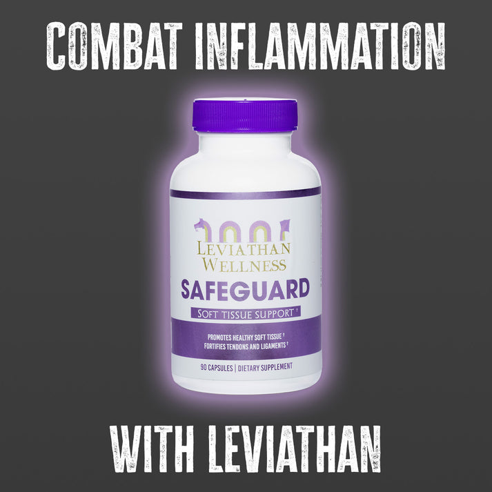 Recovery Stack - Shield and Safeguard – Leviathan Wellness