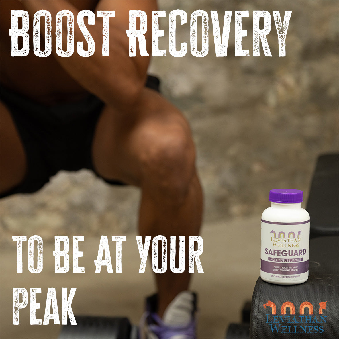 Safeguard - Soft Tissue Support – Leviathan Wellness