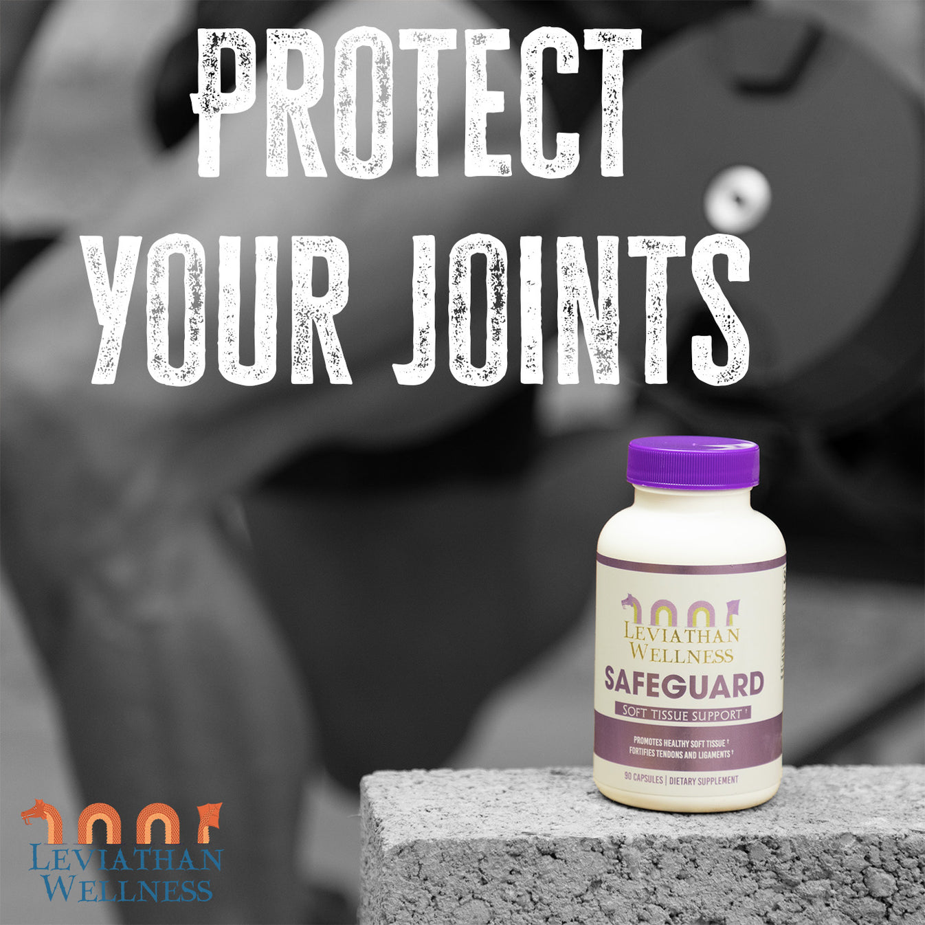 Recovery Stack - Shield and Safeguard – Leviathan Wellness