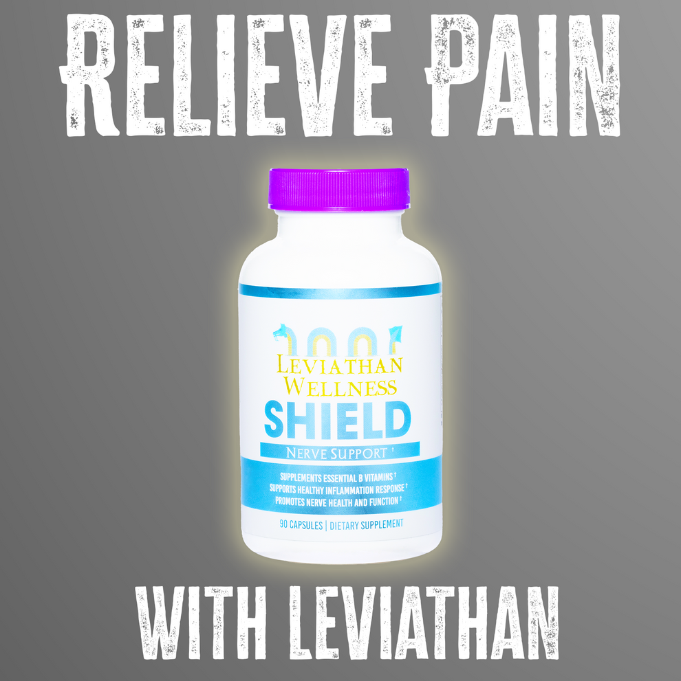 Recovery Stack - Shield and Safeguard – Leviathan Wellness