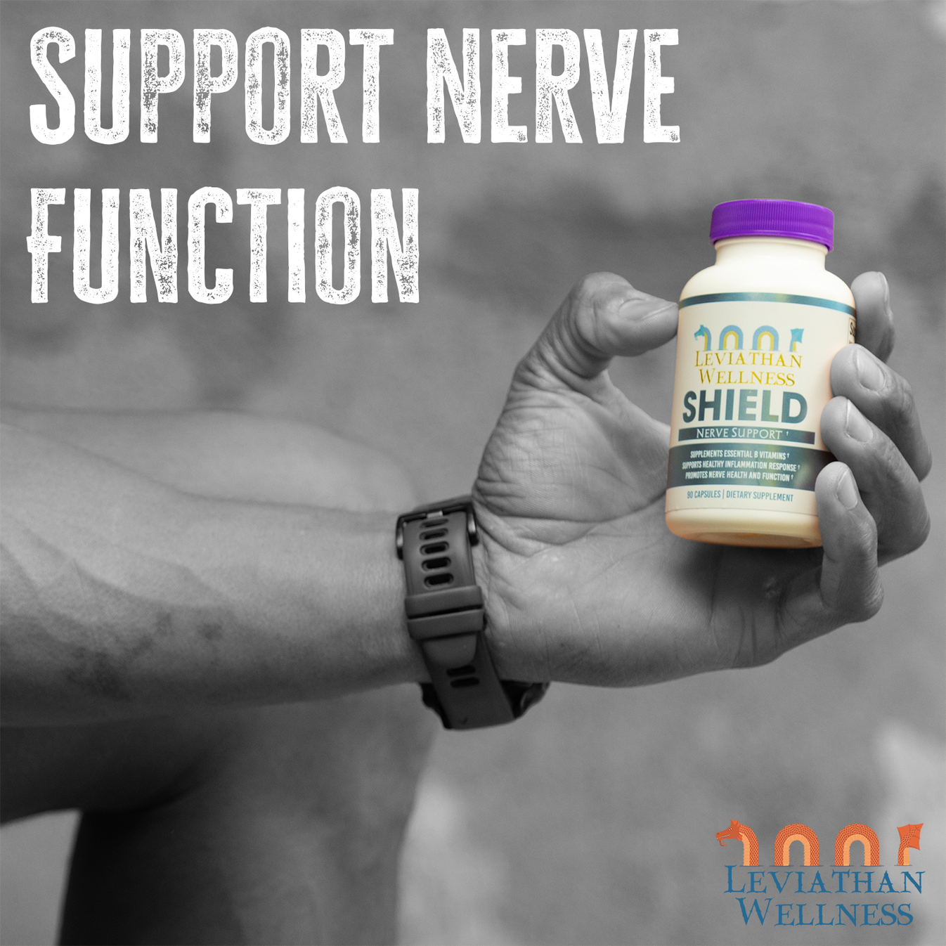 Shield - Nerve Support – Leviathan Wellness