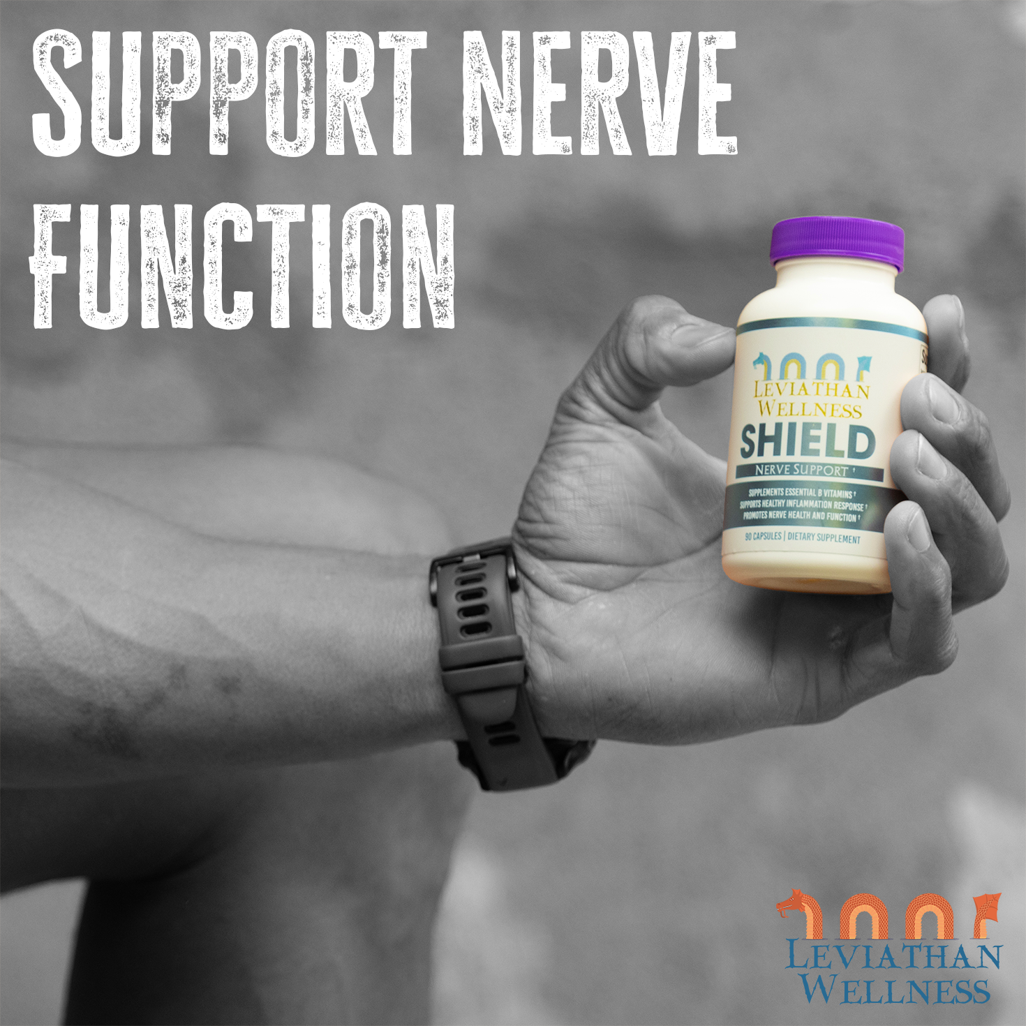 Shield - Nerve Support – Leviathan Wellness