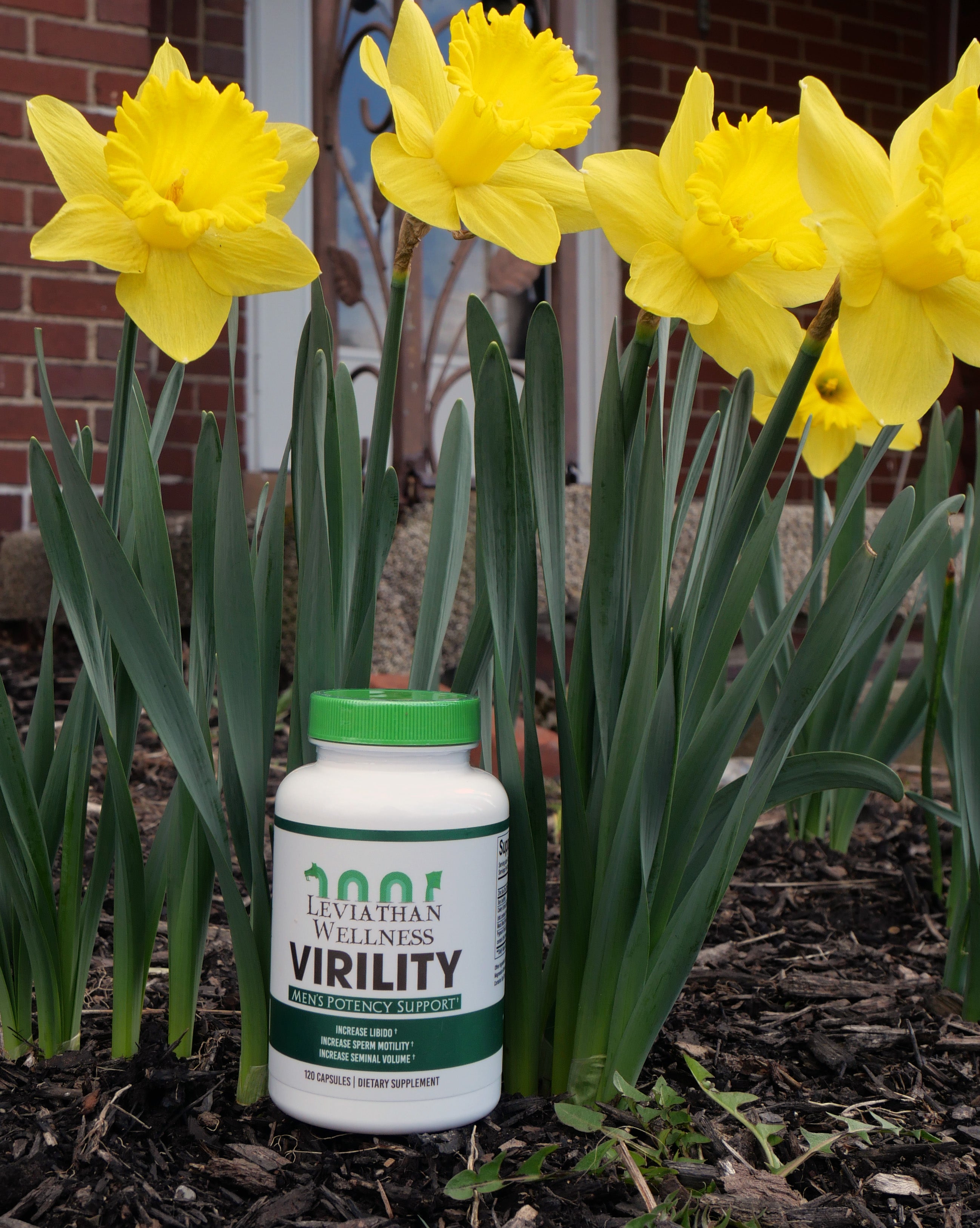 Virility - Men's Potency Support NOW WITH SUNFLOWER LECHITIN ...